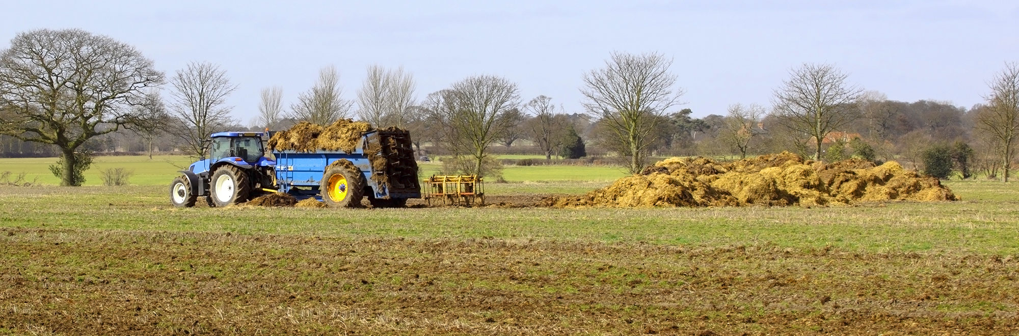 Rural Business School